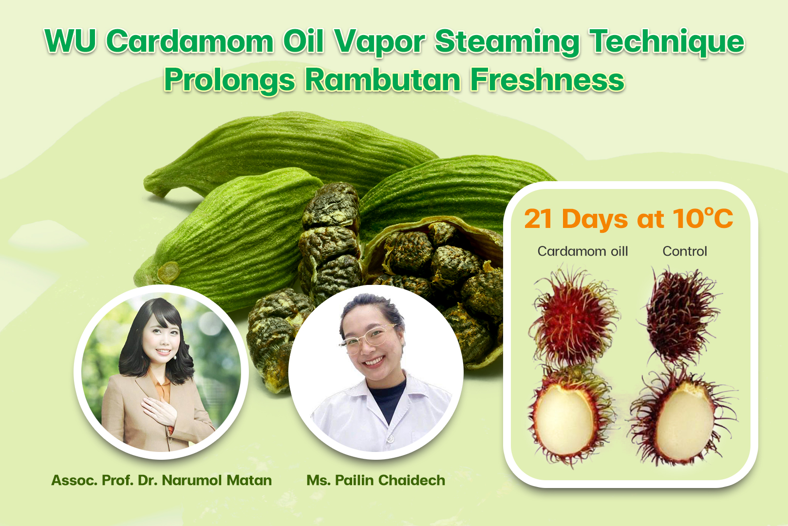 Walailak University's Cardamom Oil Vapor Steaming Technique Prolongs ...